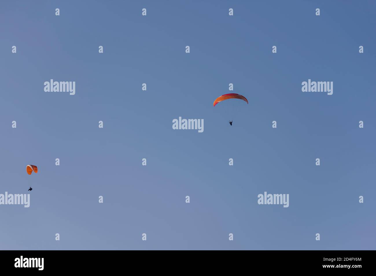 Paragliders with multi-colored parachutes fly high in the clear blue ...