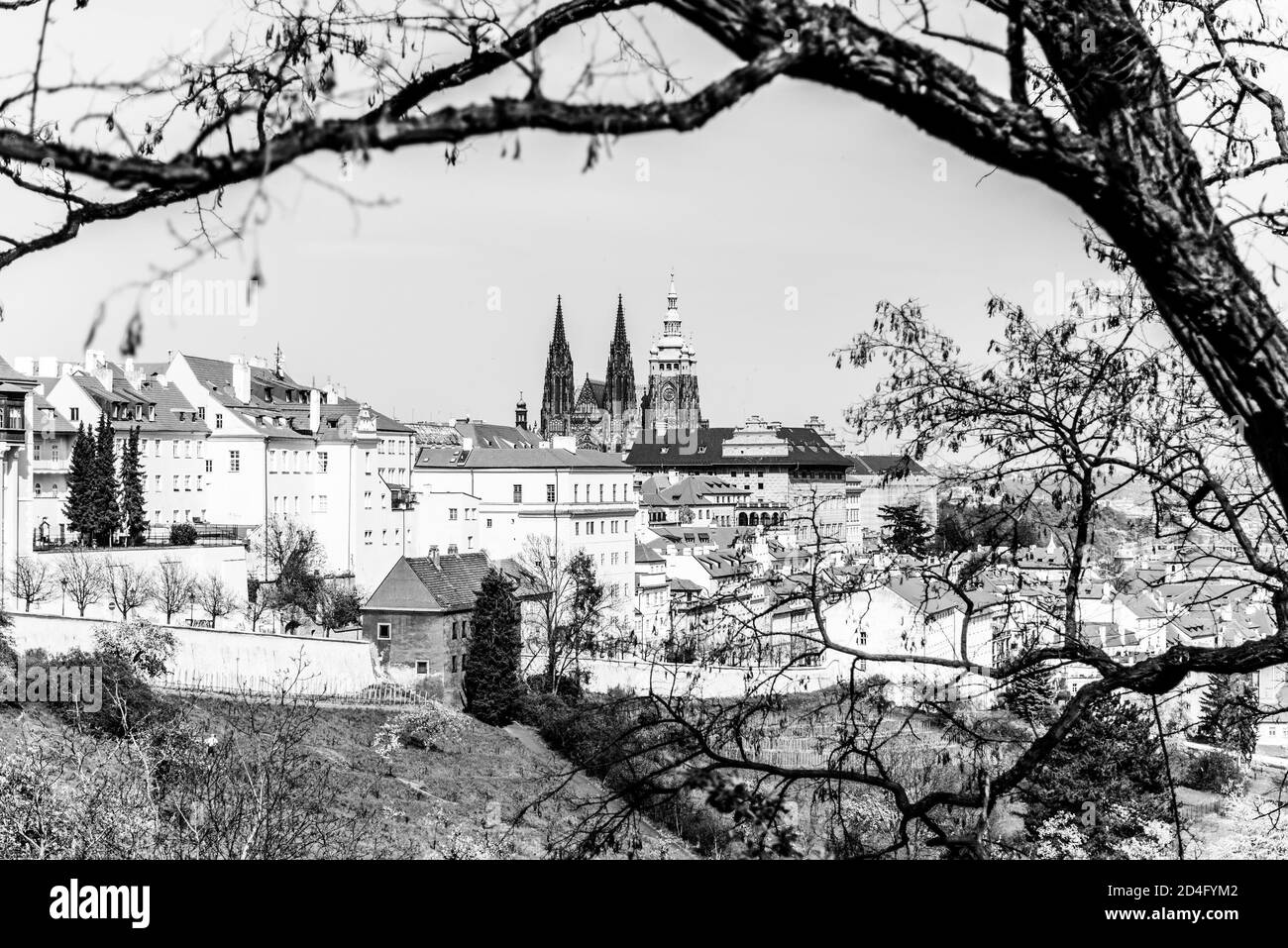 Blooming fruit trees Black and White Stock Photos & Images - Alamy