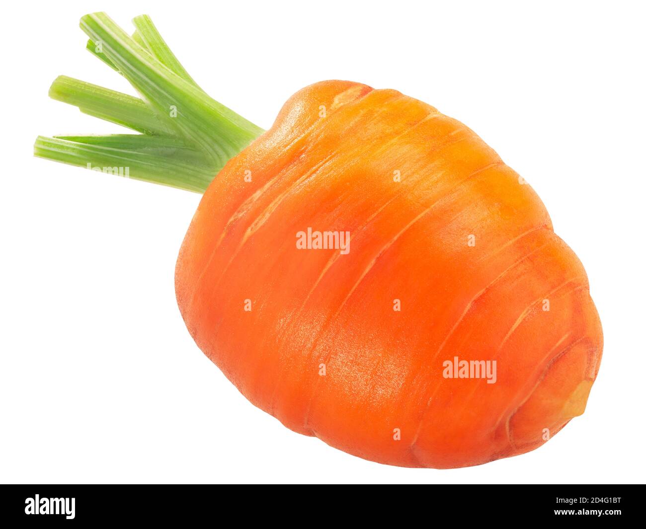 Short Rondo carrot (Daucus carota taproot) isolated Stock Photo - Alamy