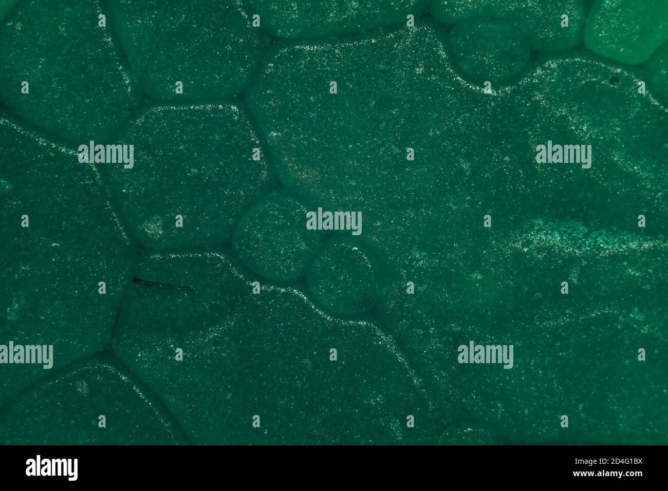 Close up beautiful abstraction phantom green color light water ...