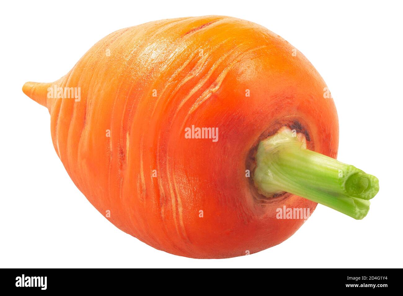 Rondo carrot hi-res stock photography and images - Alamy