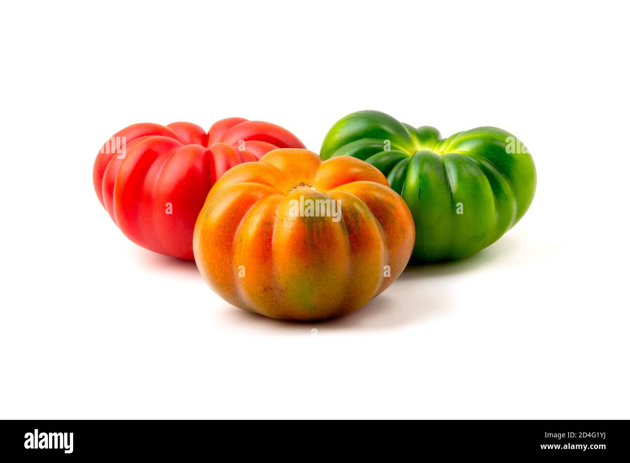 Marinda Tomatoes (Solanum lycopersicum) on a white background Stock ...