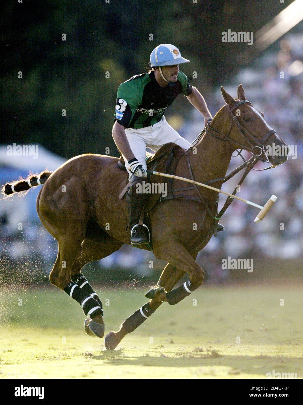 Argentine polo player hi-res stock photography and images - Alamy