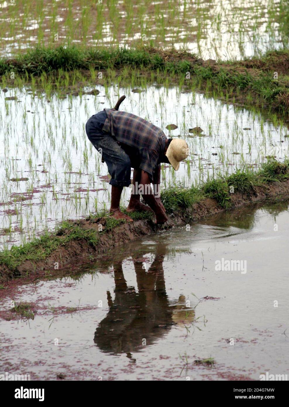 Filipino Farmer High Resolution Stock Photography and Images - Alamy