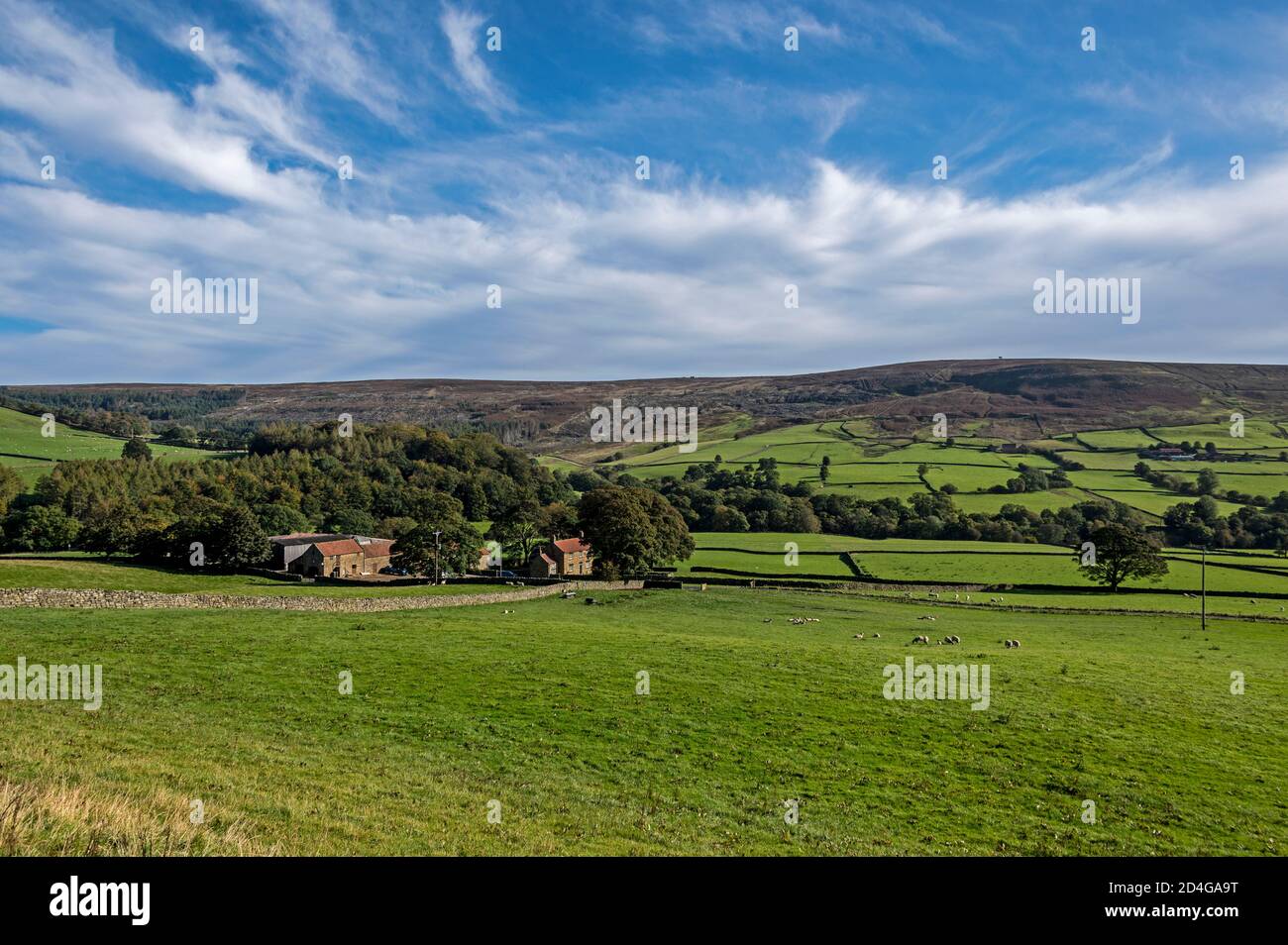 The very remote Brandsdale with a few scatted small farms in the North ...