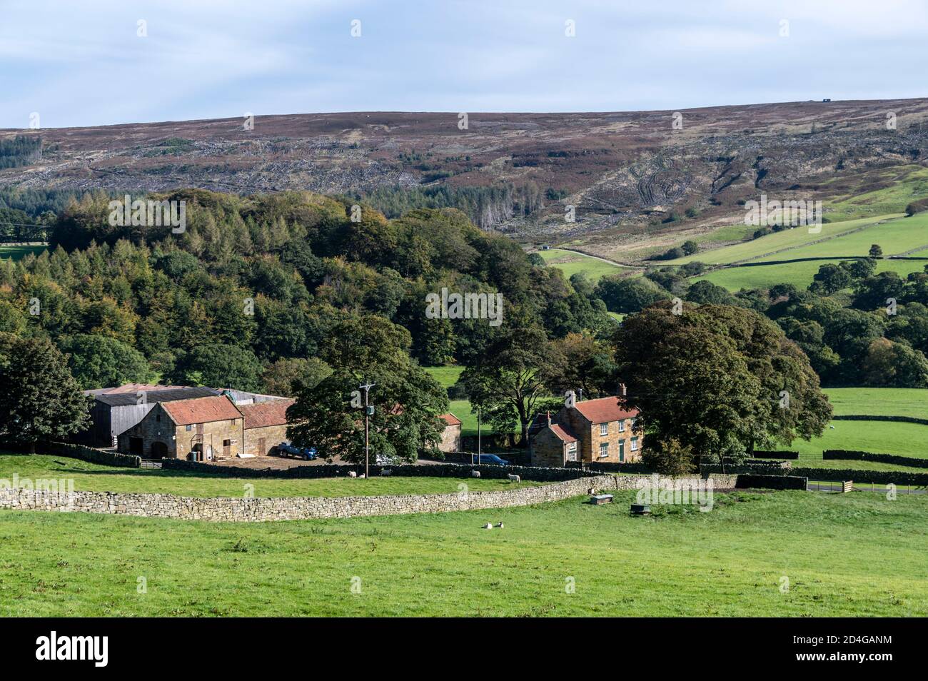 The very remote Brandsdale with a few scatted small farms in the North ...