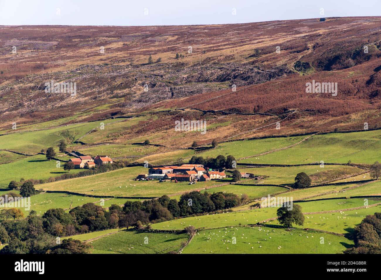 The very remote Brandsdale with a few scatted small farms in the North ...