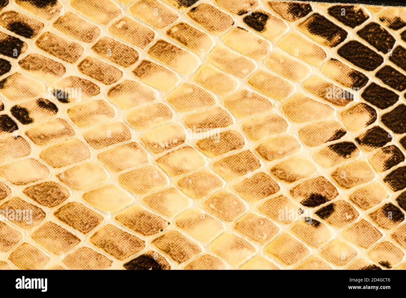 Snake skin pattern background Stock Photo - Alamy