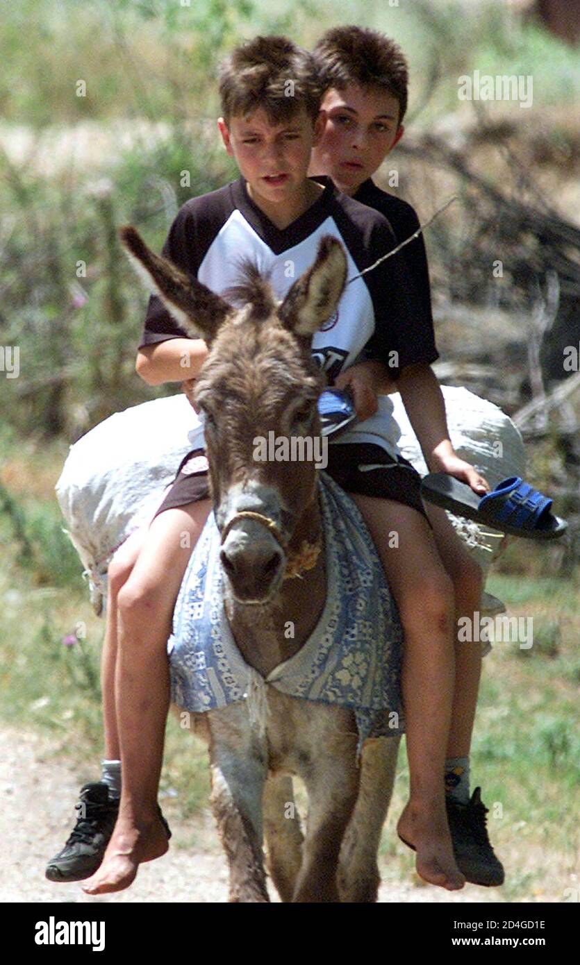 Two boys with a donkey hi-res stock photography and images - Alamy