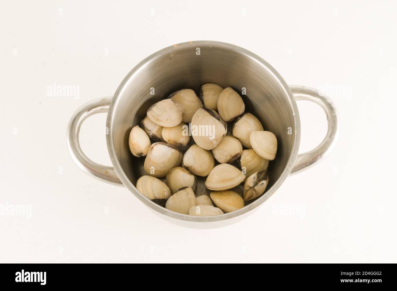 Collection of various clam shells Stock Photo - Alamy