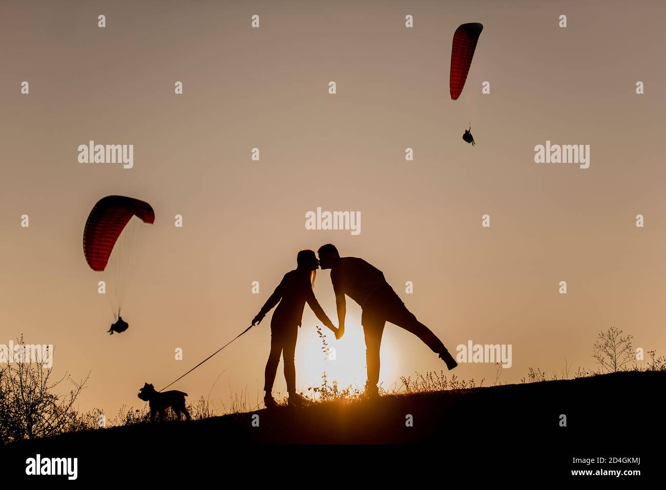 A family travels with their dog Schnauzer. Silhouettes on a sunset ...
