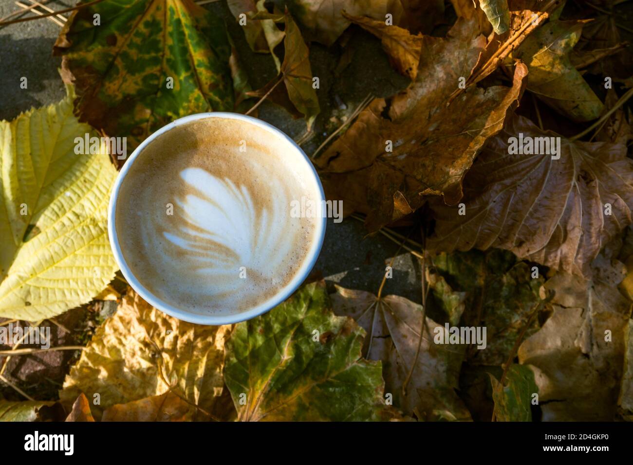 disposable paper coffee cup on yellow autumn maple leaves, cappuccino ...