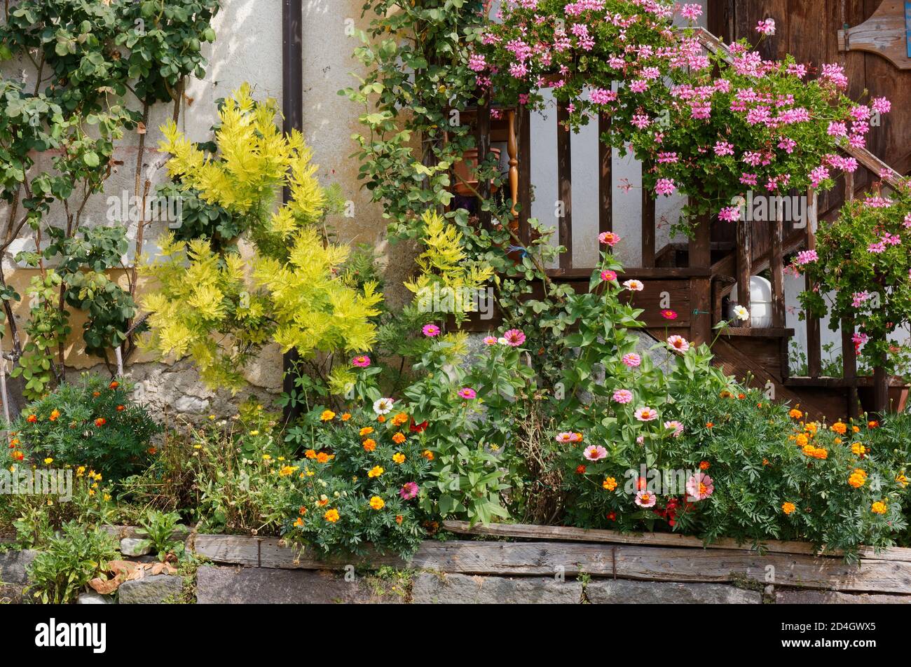 Plants and flowers decorating the exterior of a traditional country ...