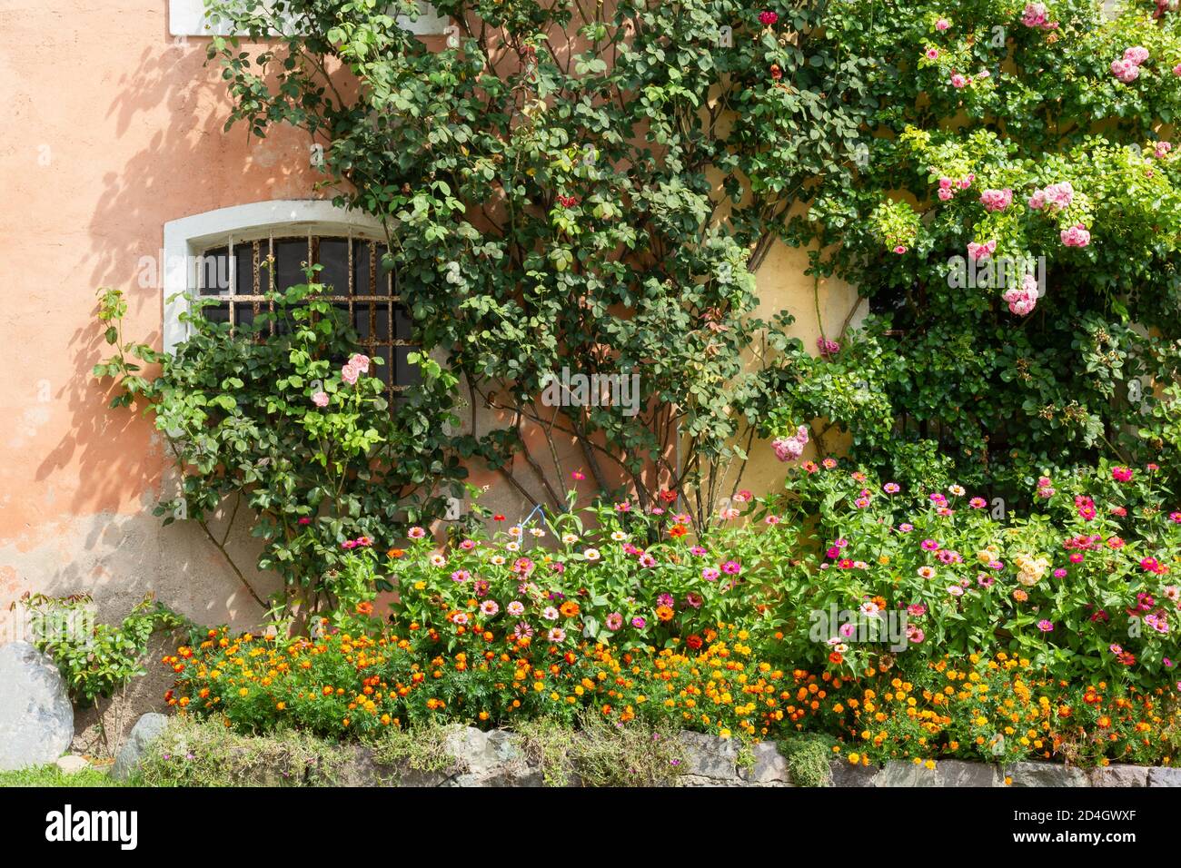 Plants and flowers decorating the exterior of a historic building Stock ...