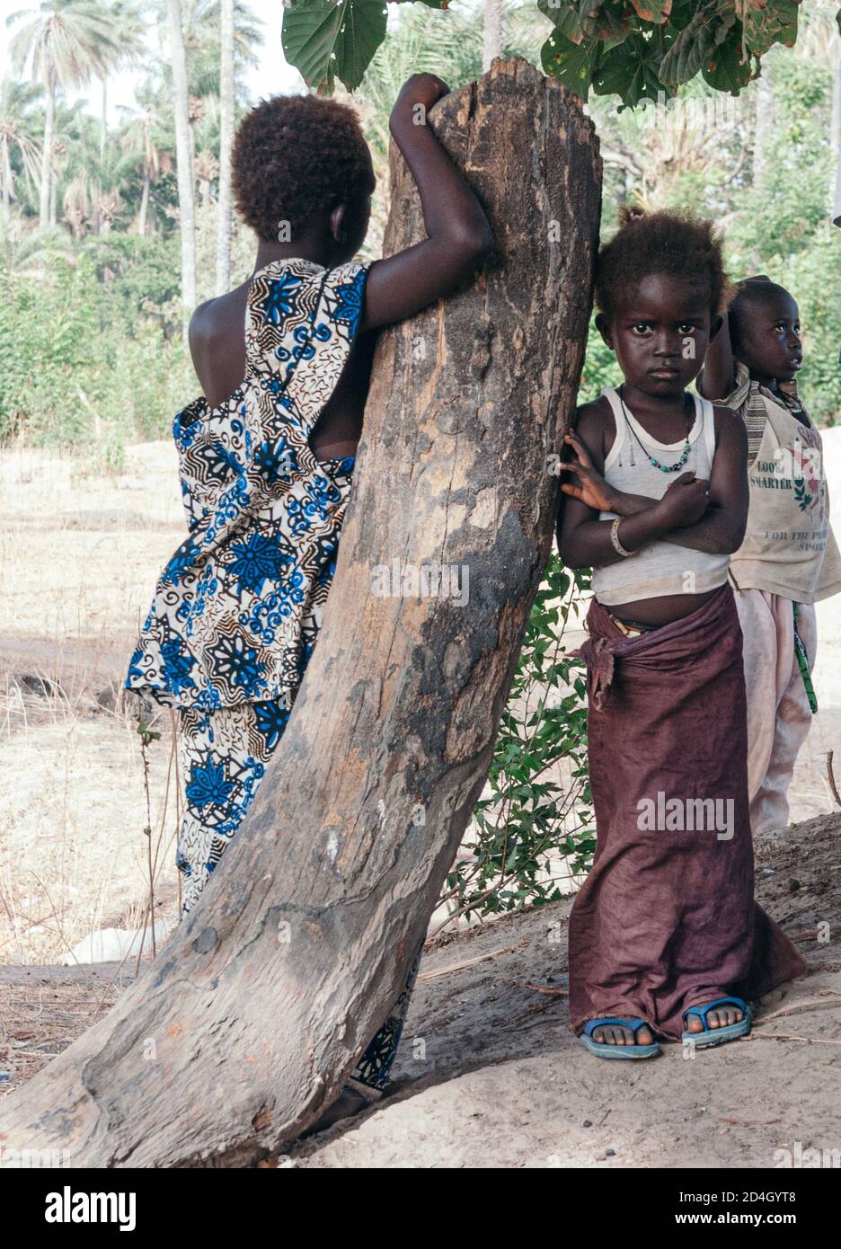 Children playing outside the village in Juffure, The Gambia Stock Photo ...