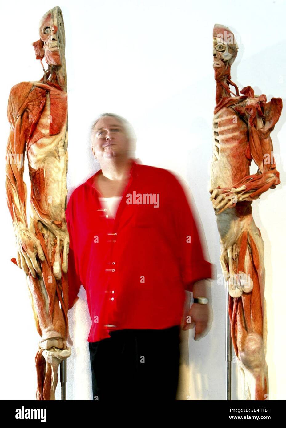 Whole Body Plastination High Resolution Stock Photography and Images ...