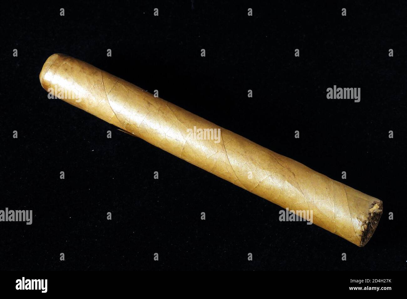 Cuban Brown Havan Cigar Stock Photo - Alamy