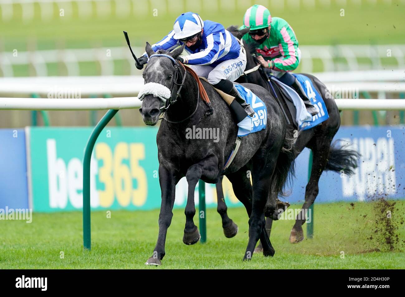 Wins godolphin stud stable staff challenge newmarket racecourse hi-res ...