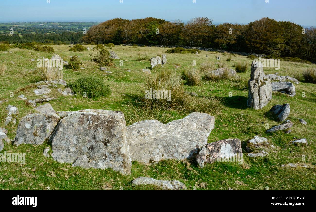 Hut circles on Chagford Common, Dartmoor, Devon Stock Photo - Alamy