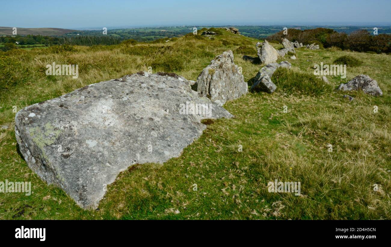 Hut circles on Chagford Common, Dartmoor, Devon Stock Photo - Alamy