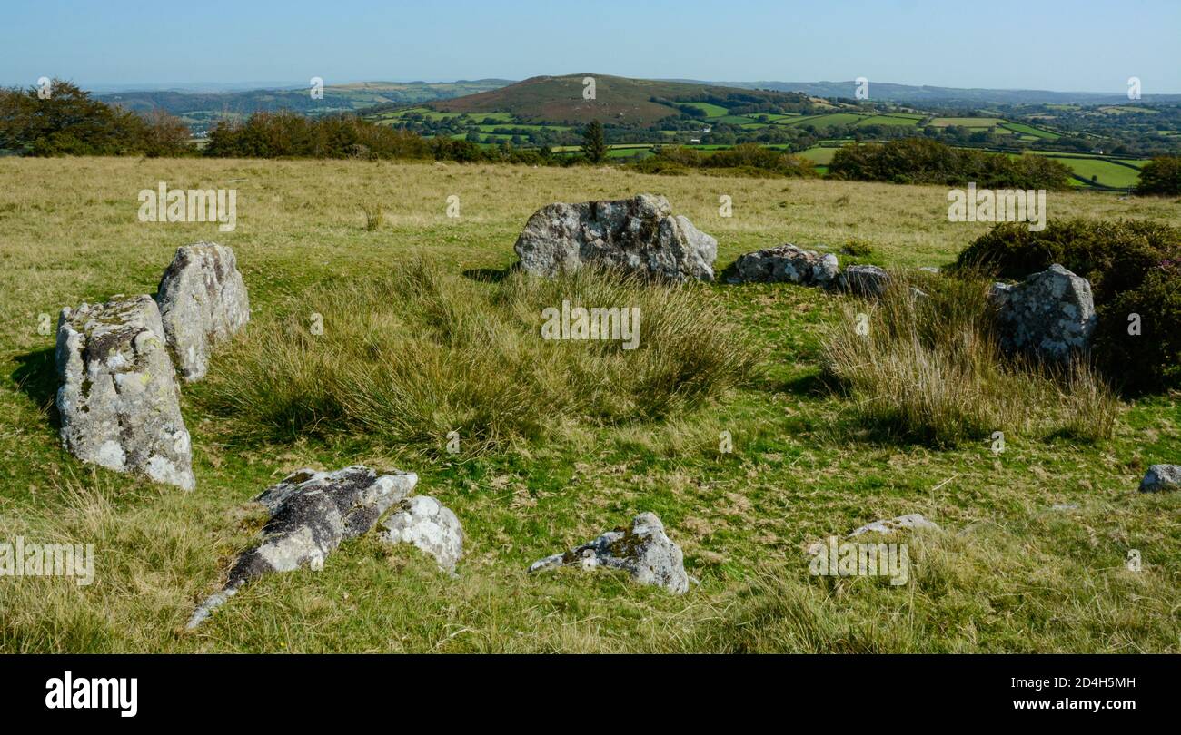 Hut circles on Chagford Common, Dartmoor, Devon Stock Photo - Alamy
