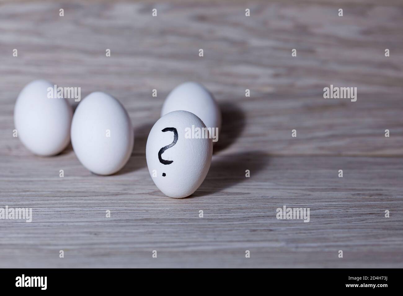 Chicken Life Cycle High Resolution Stock Photography and Images - Alamy
