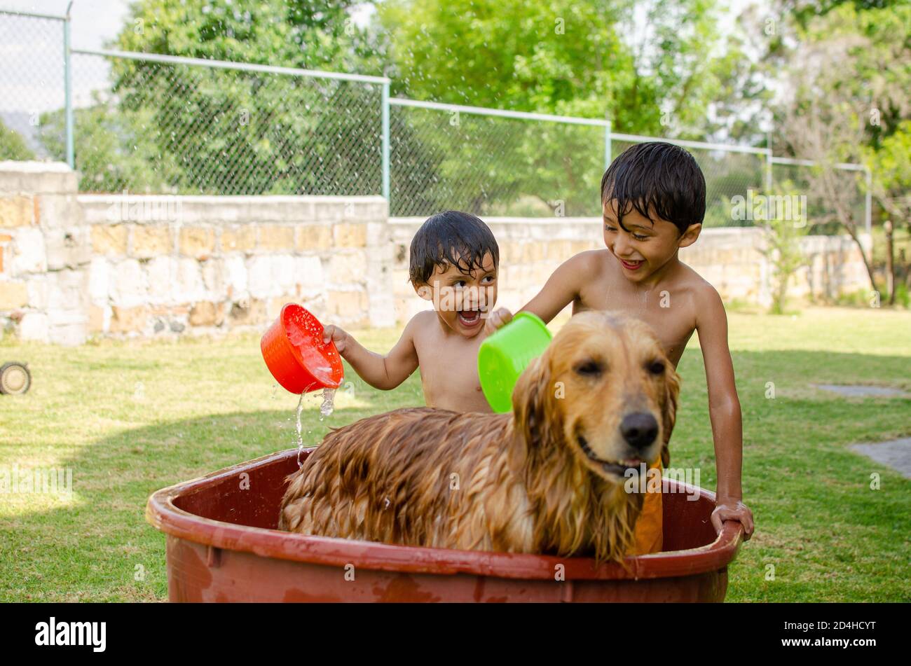 Children wash dog hi-res stock photography and images - Alamy