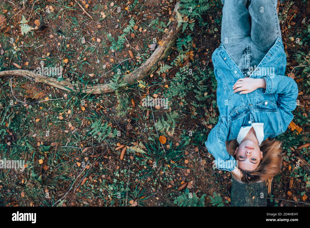A girl in the woods on a tree, a view from above Stock Photo - Alamy