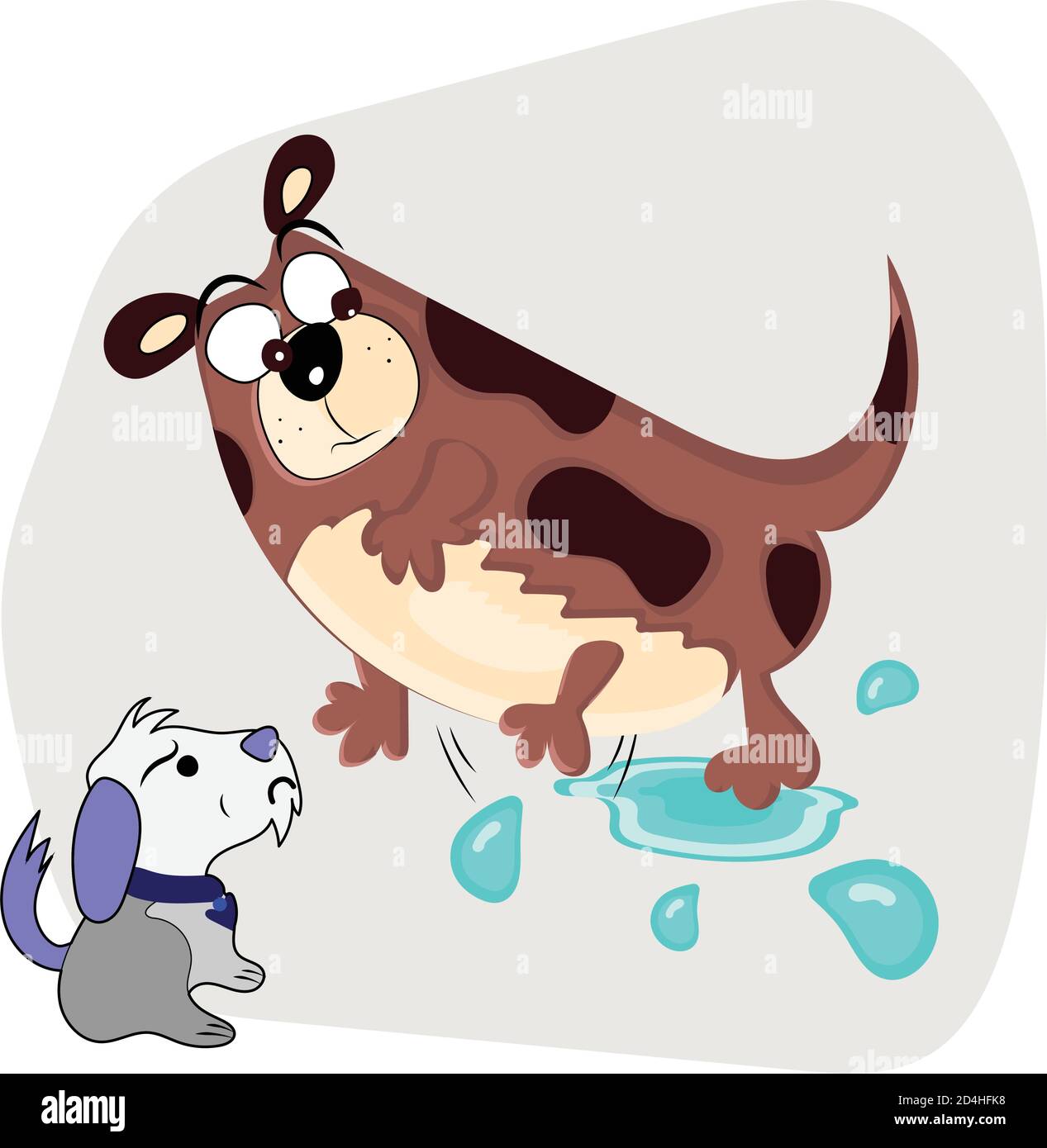 Cute dog in water Cut Out Stock Images & Pictures - Alamy