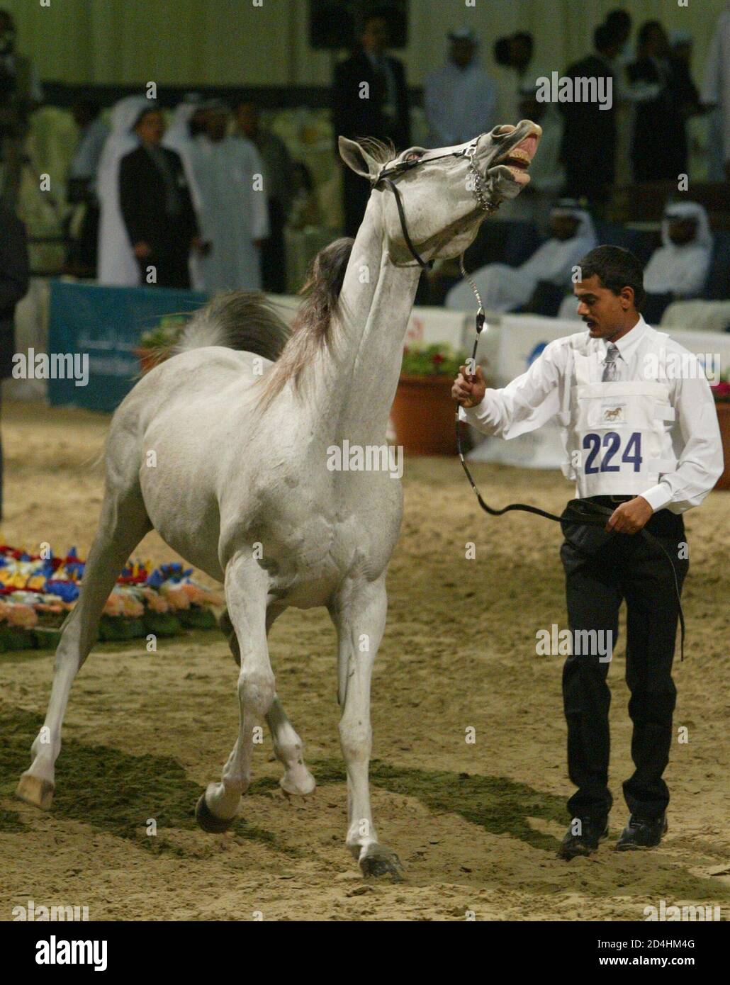 Sheikh hamdan in dubai hi-res stock photography and images - Alamy