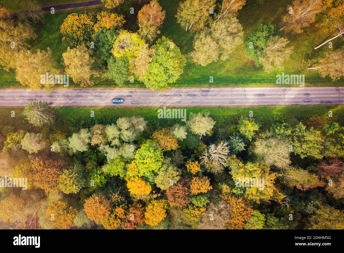 Aerial view of forest hi-res stock photography and images - Alamy