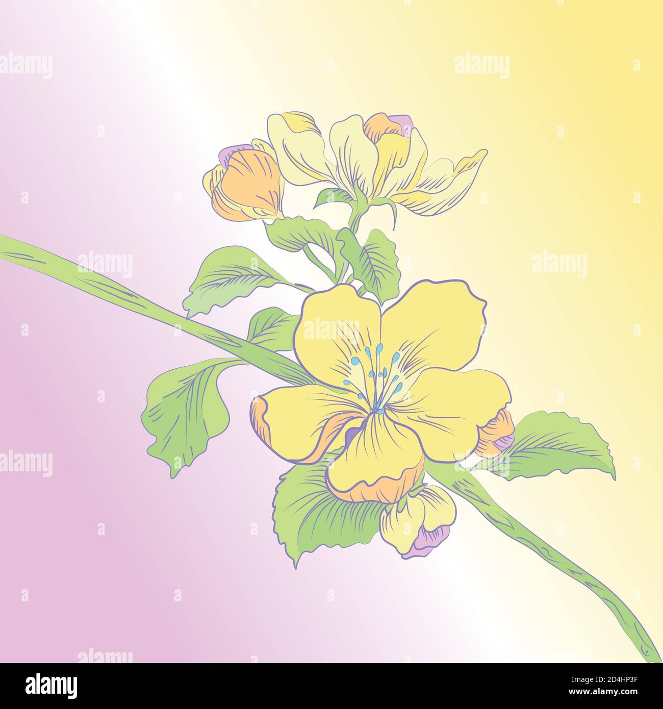 Sketch of a flower Stock Vector Image & Art - Alamy