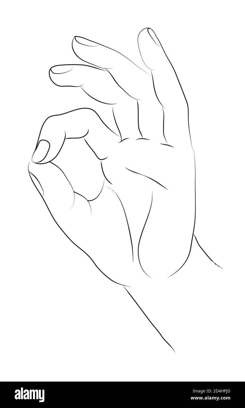 Linear sketch drawing. Gesture okay line art illustration. Isolated on ...