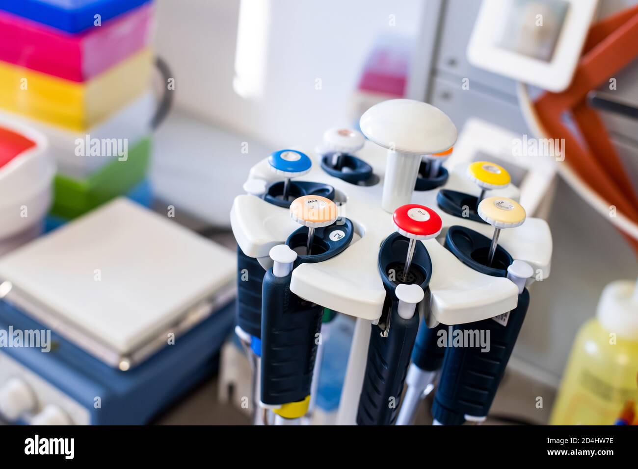 Micropipettes standing in a stand on a table in laboratory. Pipette ...