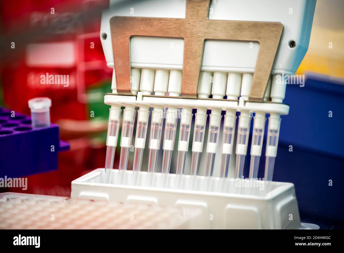 Multichannel Pipette For 96 Well Plate at Marcus Lewis blog