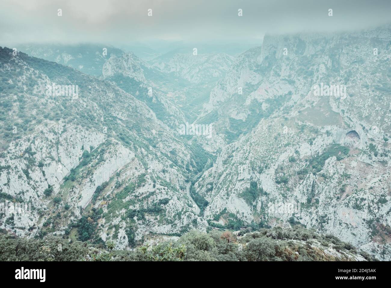 Gorge of "la Hermida" in the mountains of the "Picos de Europa", in ...
