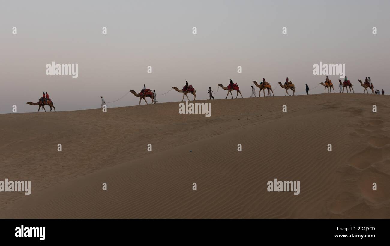 Poster sand dunes with camels hi-res stock photography and images - Alamy