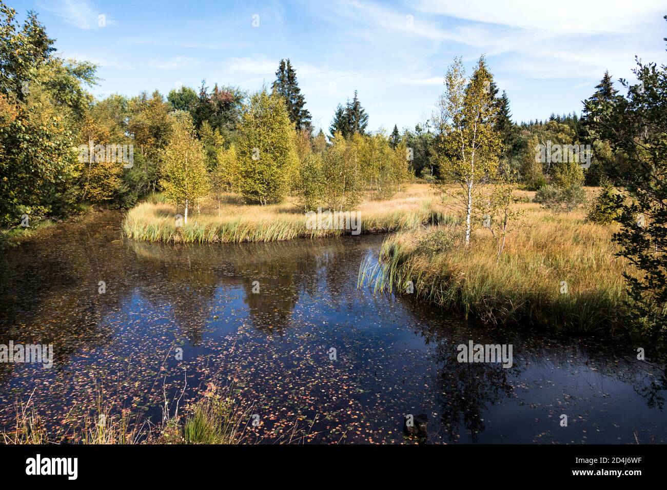 Mutzenicher Venn nature reserve in the High Fens in the North Eifel ...