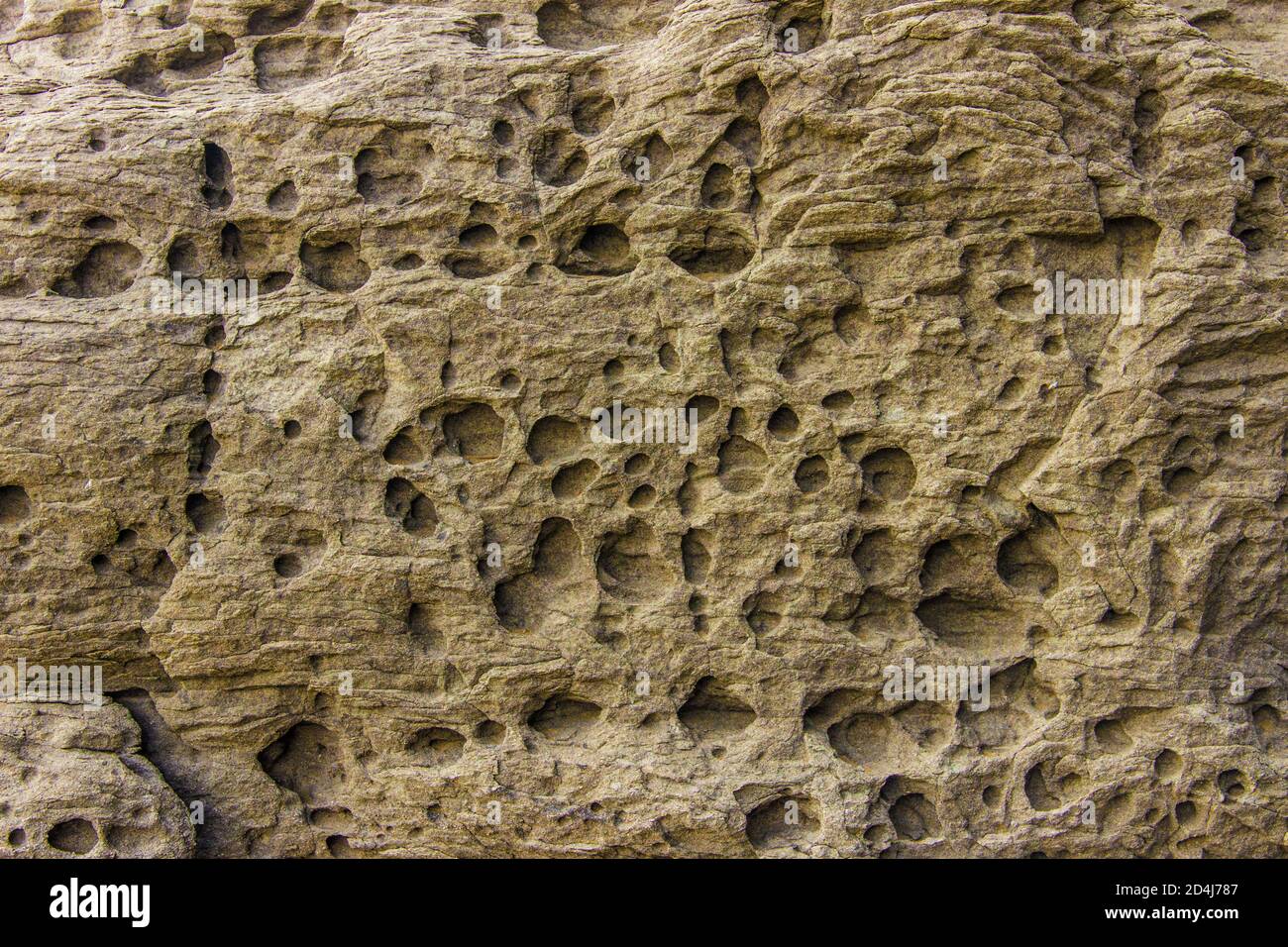 Porous sandstone hi-res stock photography and images - Alamy