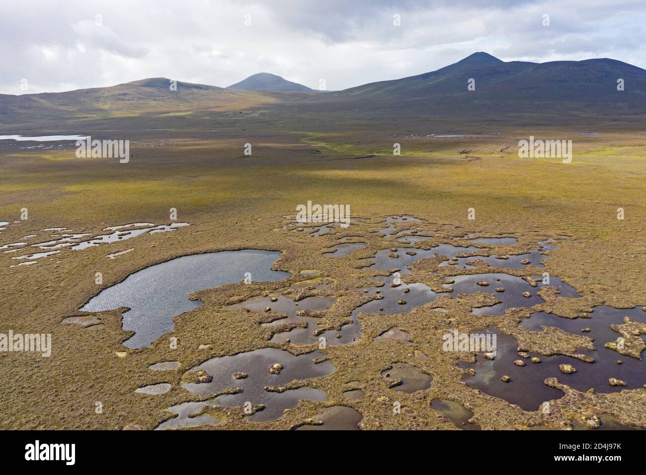 View across the Flow country at Forsinard looking across blanket bog ...