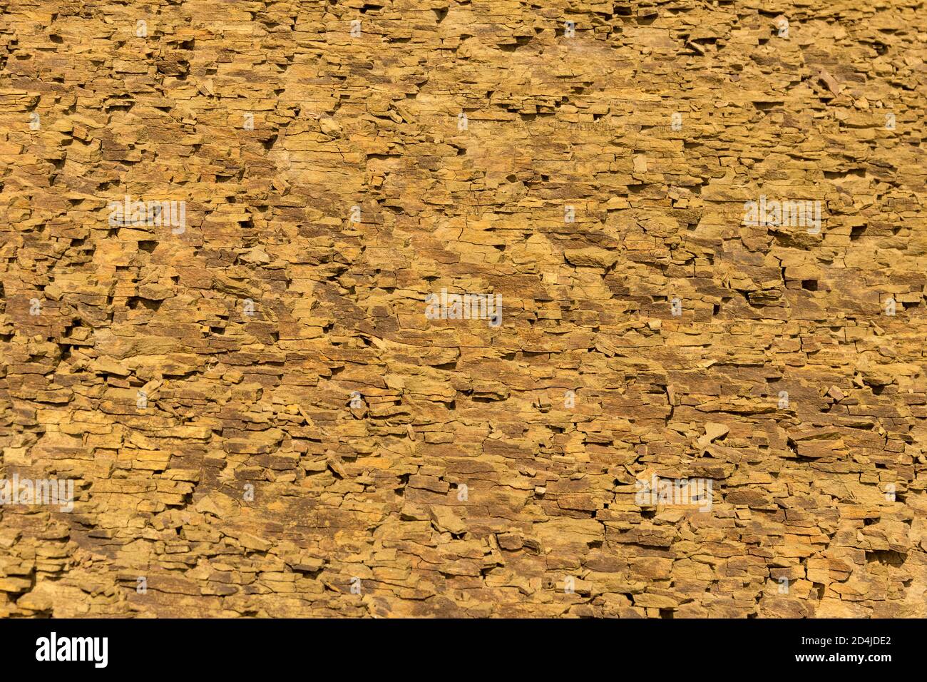 Spongy sea rock hi-res stock photography and images - Alamy