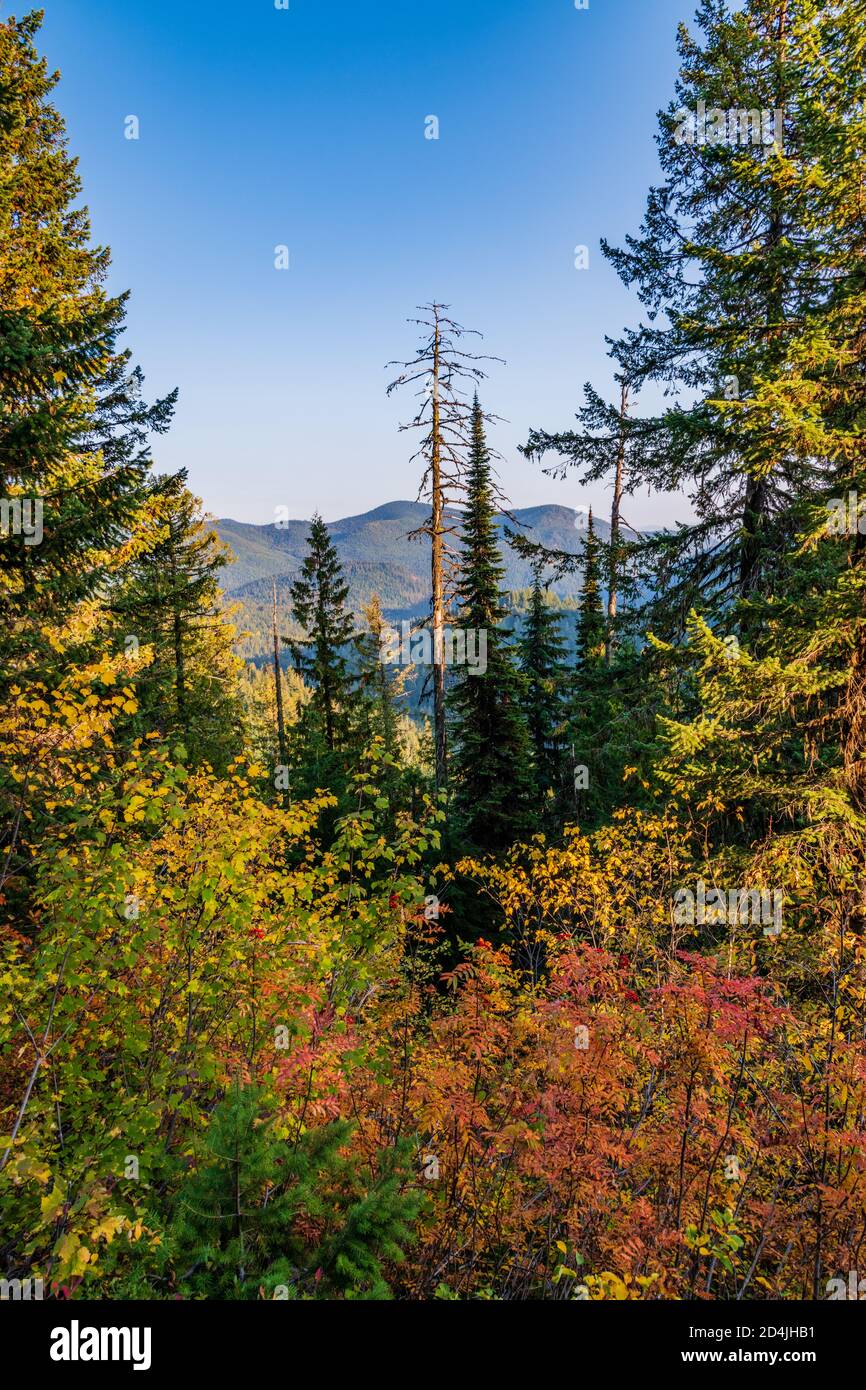 Metaline falls hi-res stock photography and images - Alamy