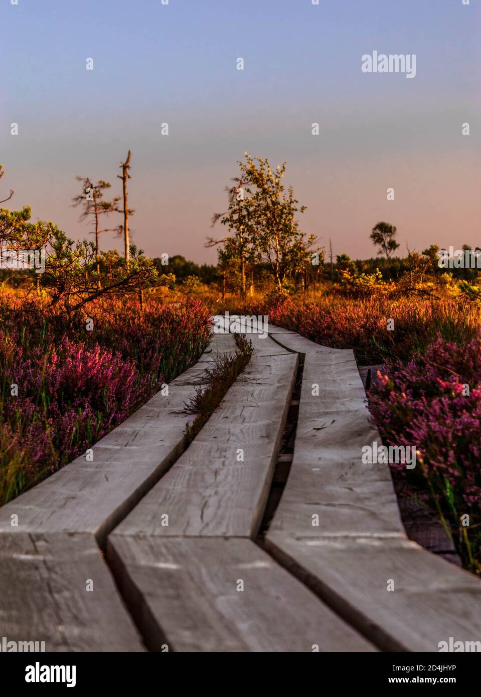 Wavy sunset hi-res stock photography and images - Alamy
