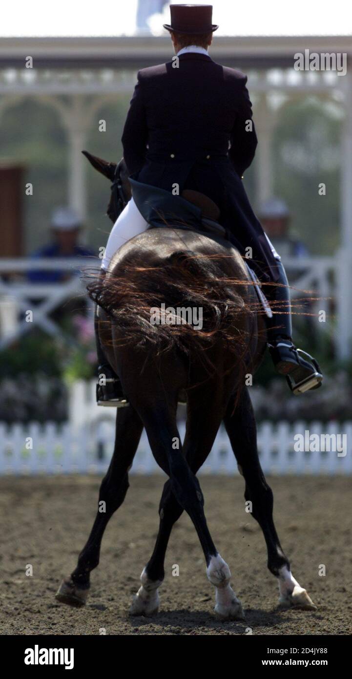 Judges box dressage hi-res stock photography and images - Alamy