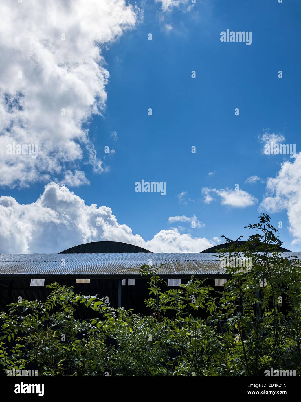 Barn corrugated roof hi-res stock photography and images - Alamy