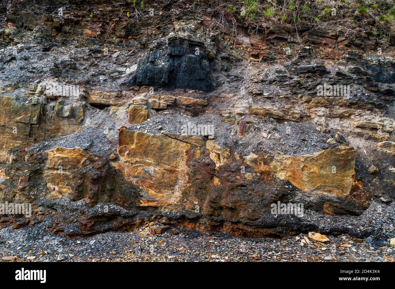 Prominent coal seam sandwiched between shale above and sandstone below ...