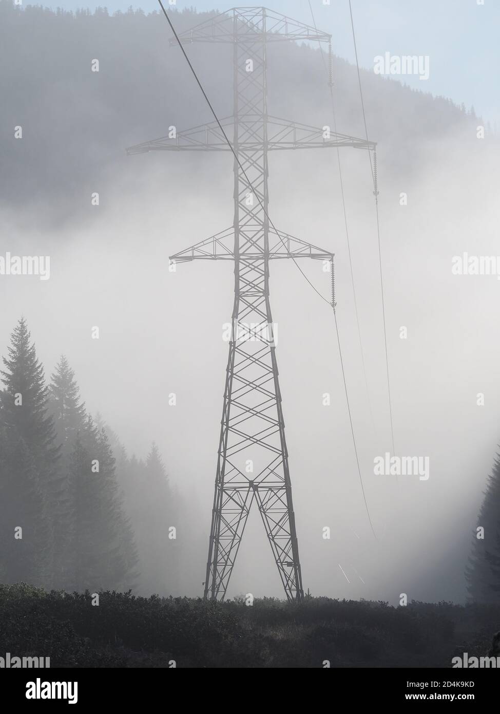 Transmission tower in fog Stock Photo - Alamy