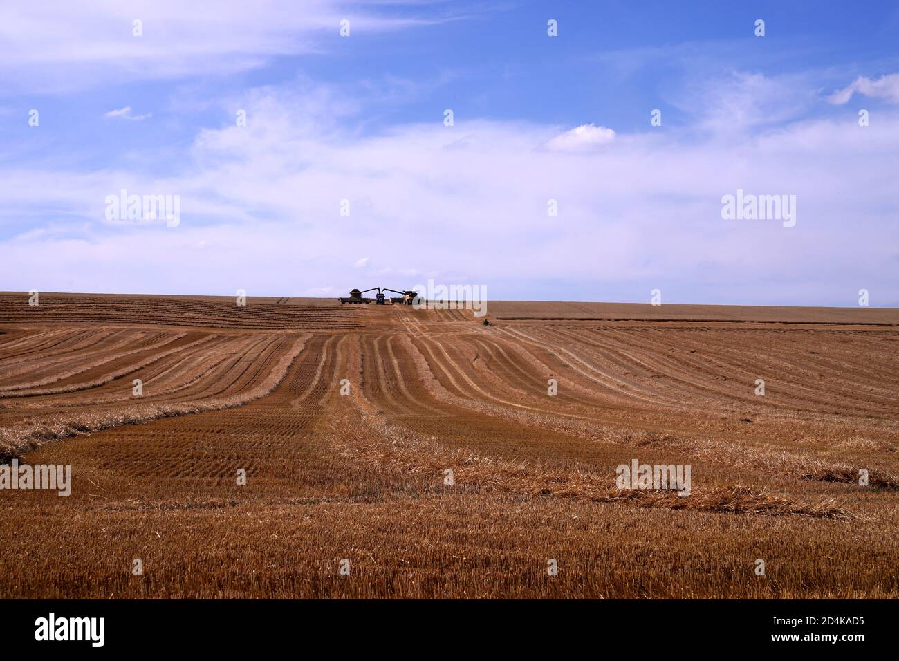 French countryside wheat field Stock Photo - Alamy