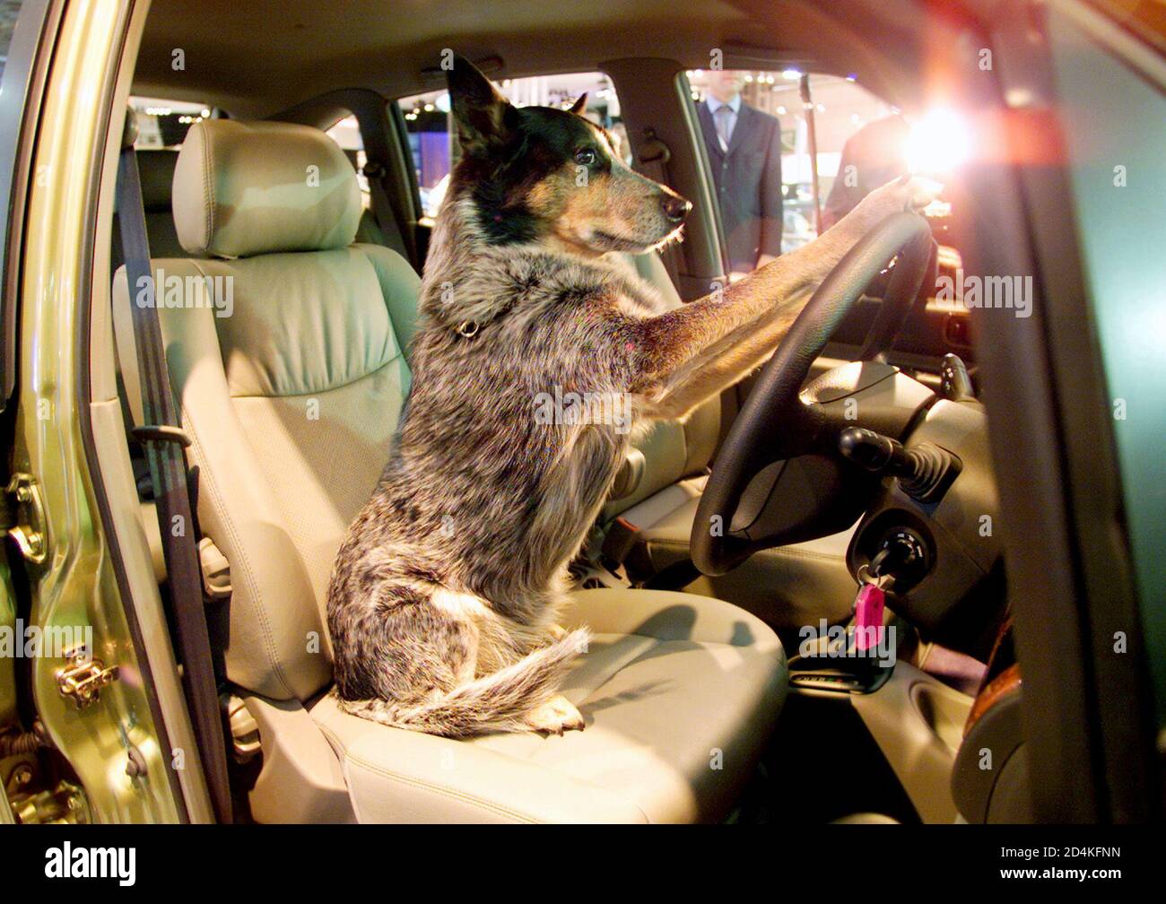 Sydney motor car hi-res stock photography and images - Alamy