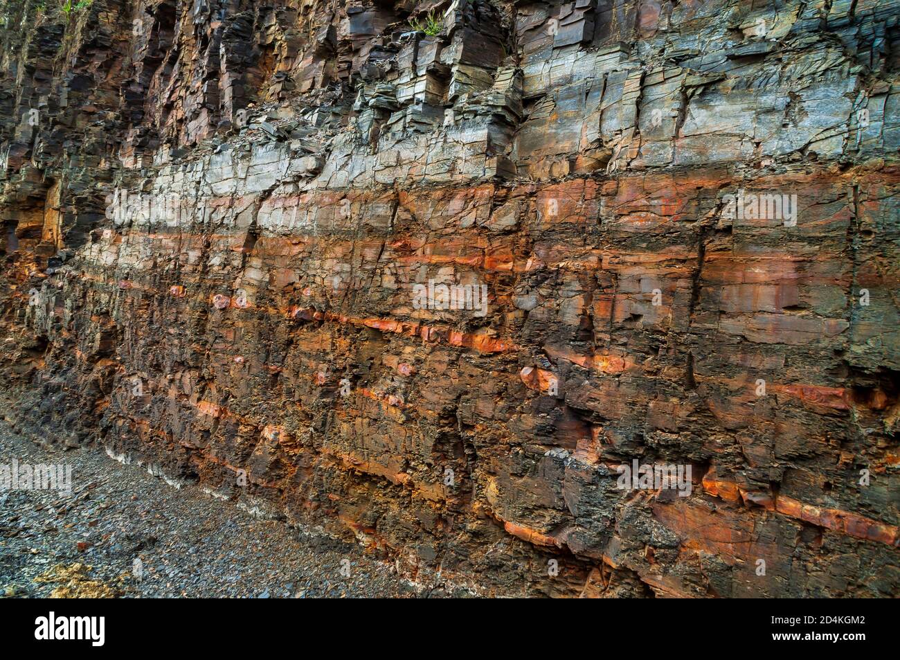 Hard shale beds with ironstone nodules in an abandoned quarry in South ...